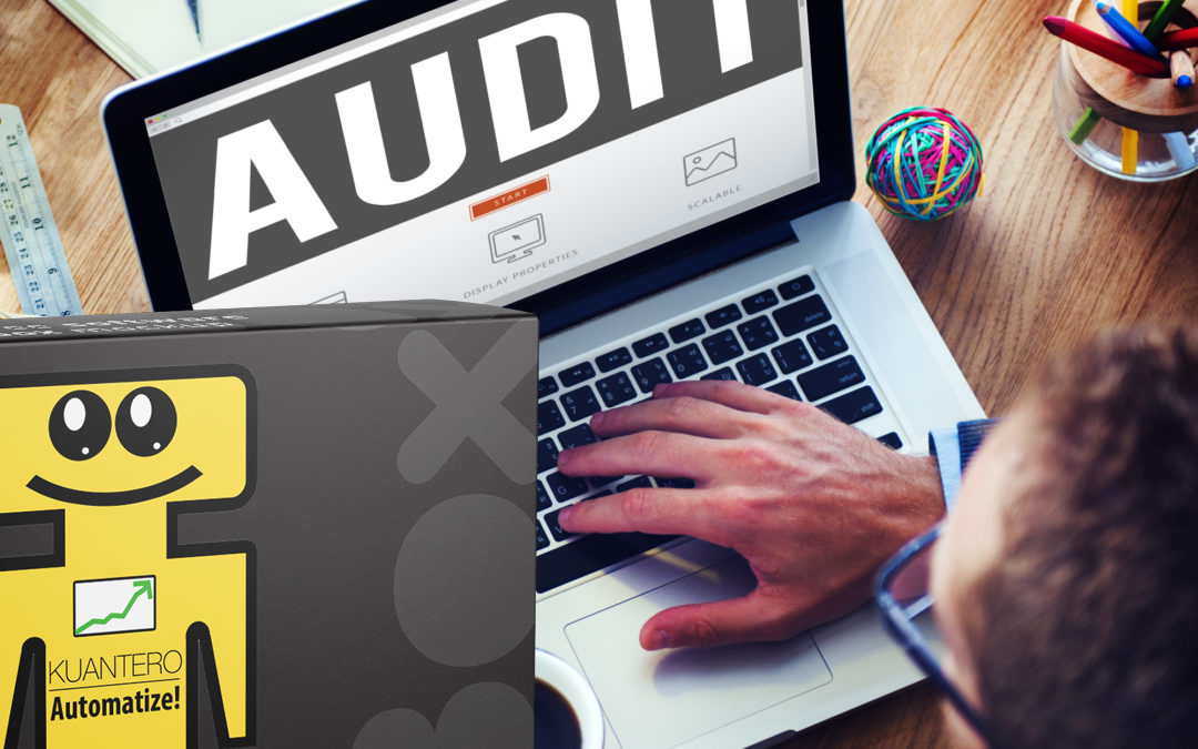 Audit online, Kuantero, pentru compania ta, valabil 1 luna - eMAG.ro